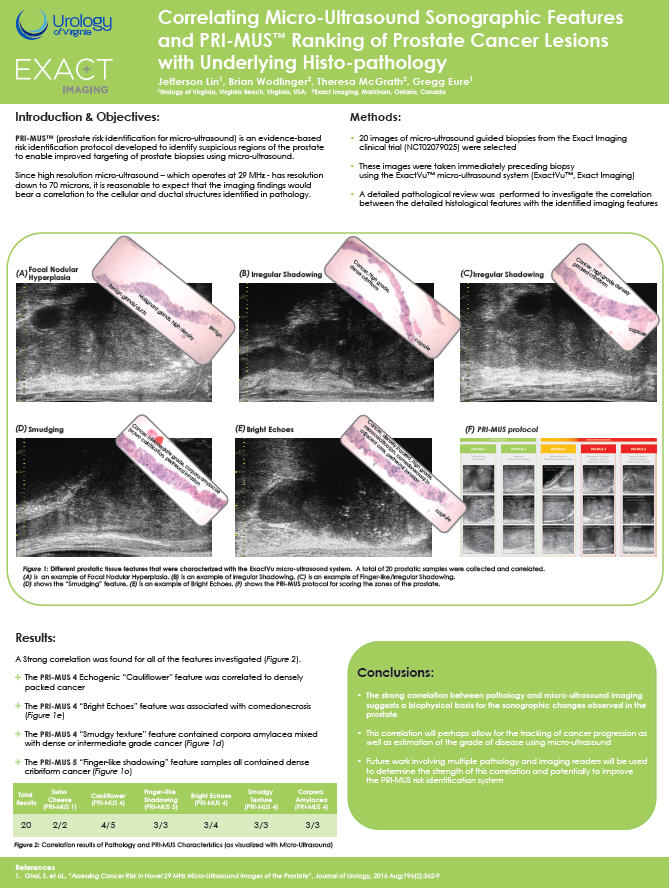 Papers and Posters - Exact Imaging.