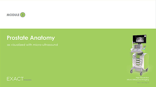 eLearning - Exact Imaging.