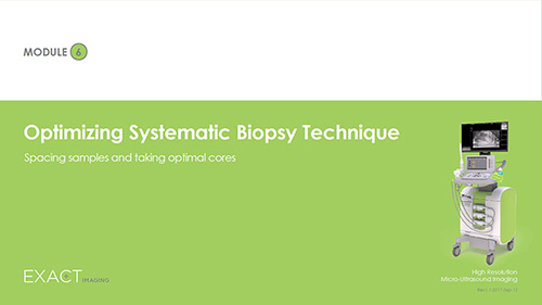 eLearning - Exact Imaging.